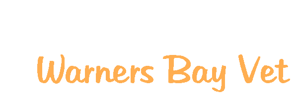 cropped-wbv-logo-white-yellow.png – Warners Bay Vet