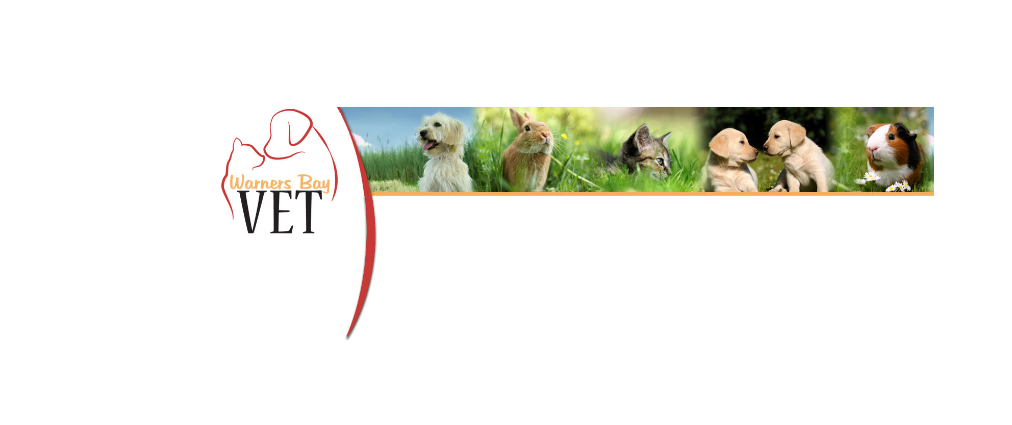 LOGO and BANNER WEBSITE – Warners Bay Vet